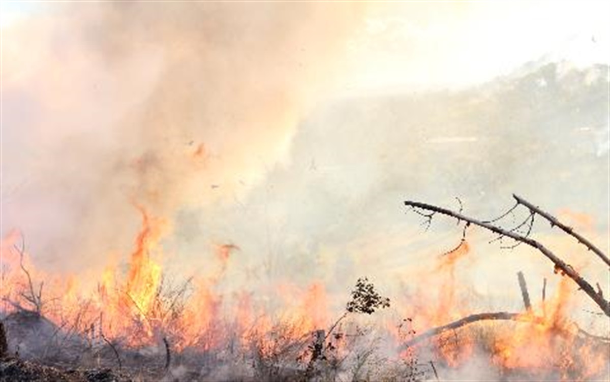 What do you remember about the 2018 Gracemere fires? Rockhampton ...