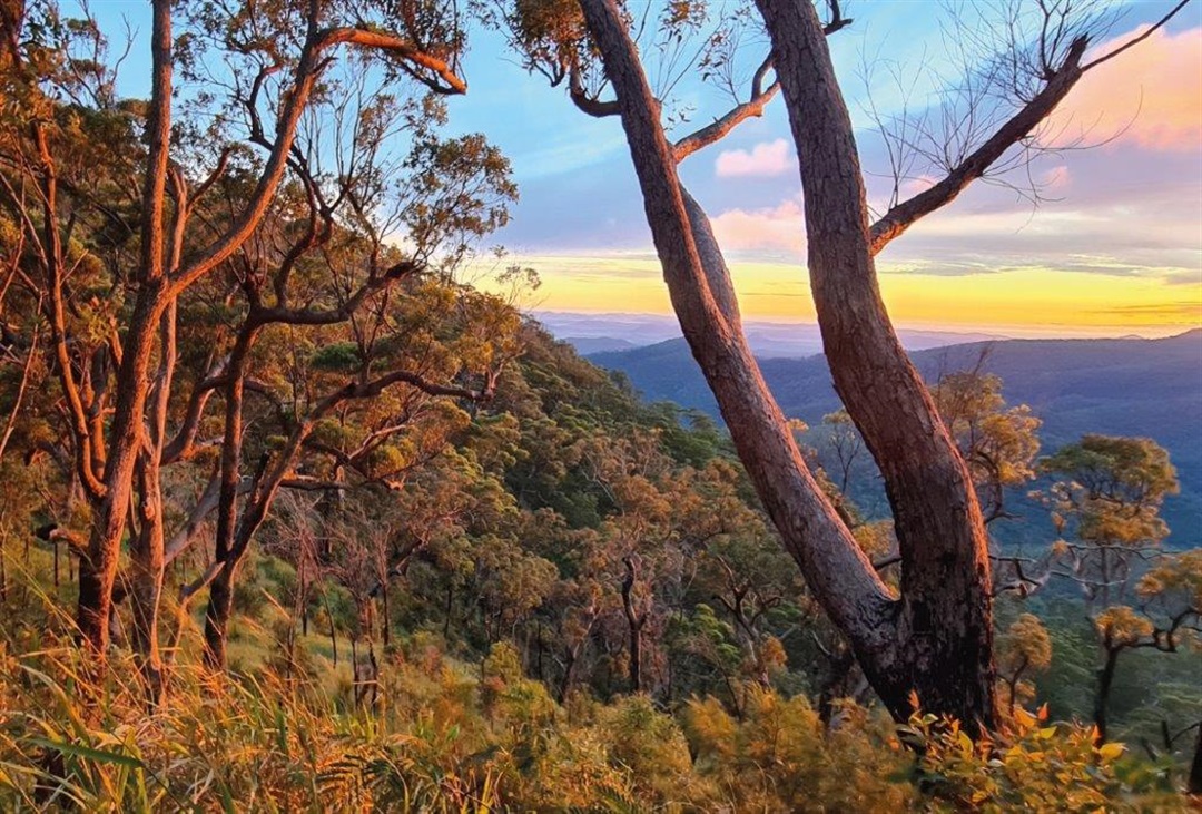 Our natural environment Rockhampton Regional Council