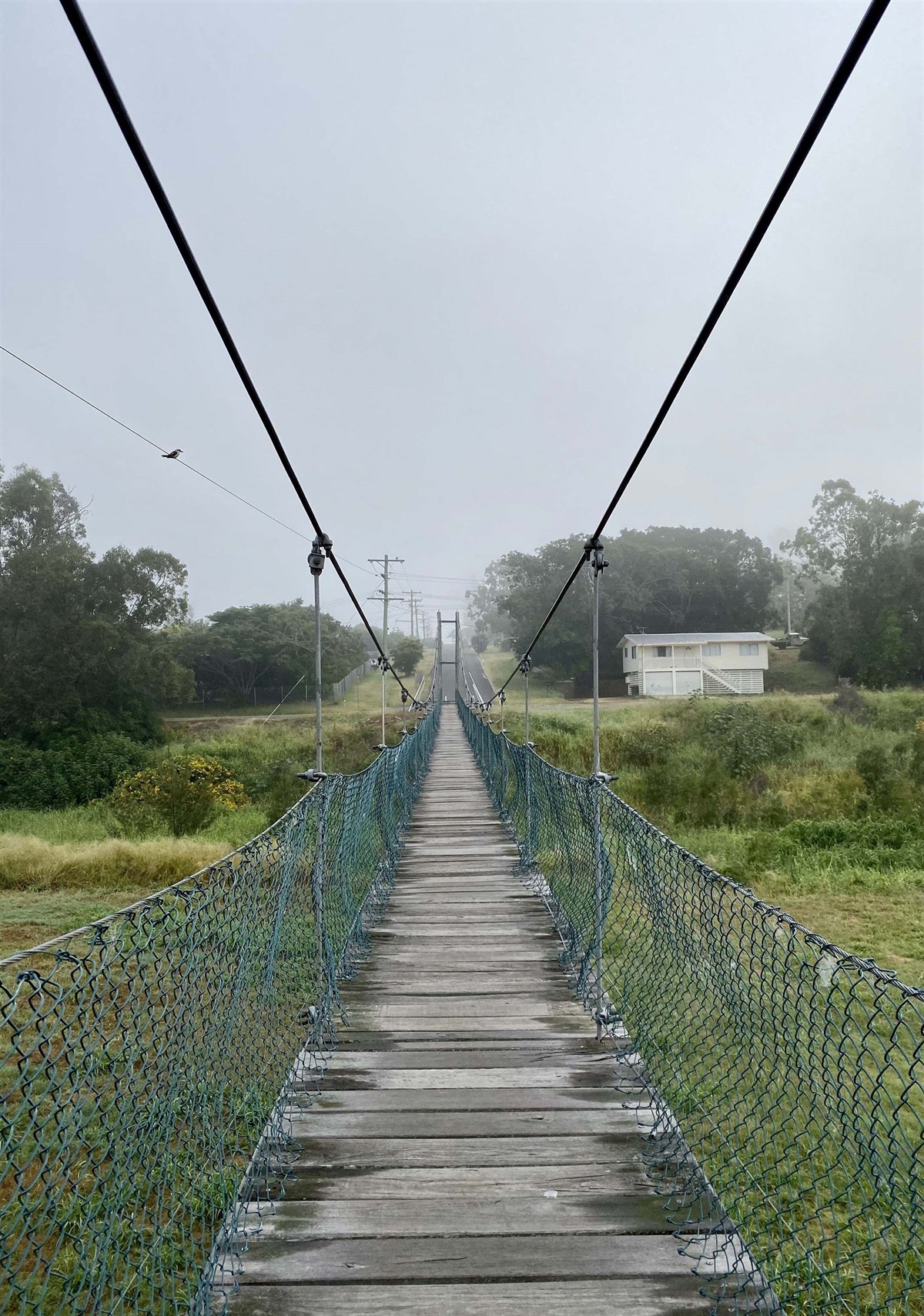 Mount Morgan Suspension Bridge upgrades in the swing of things ...