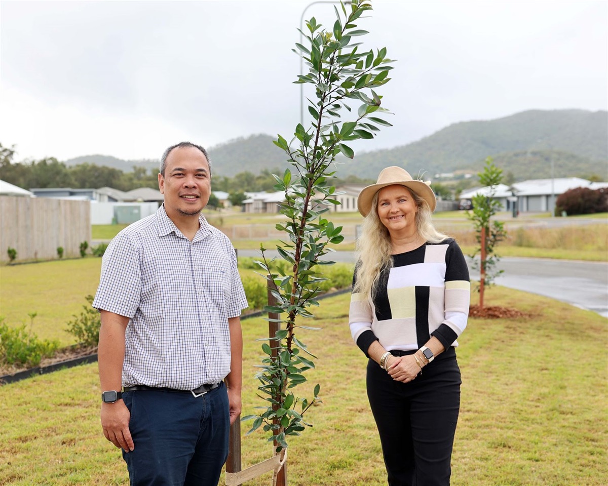 Council branches out with Street Tree Planting program Rockhampton ...