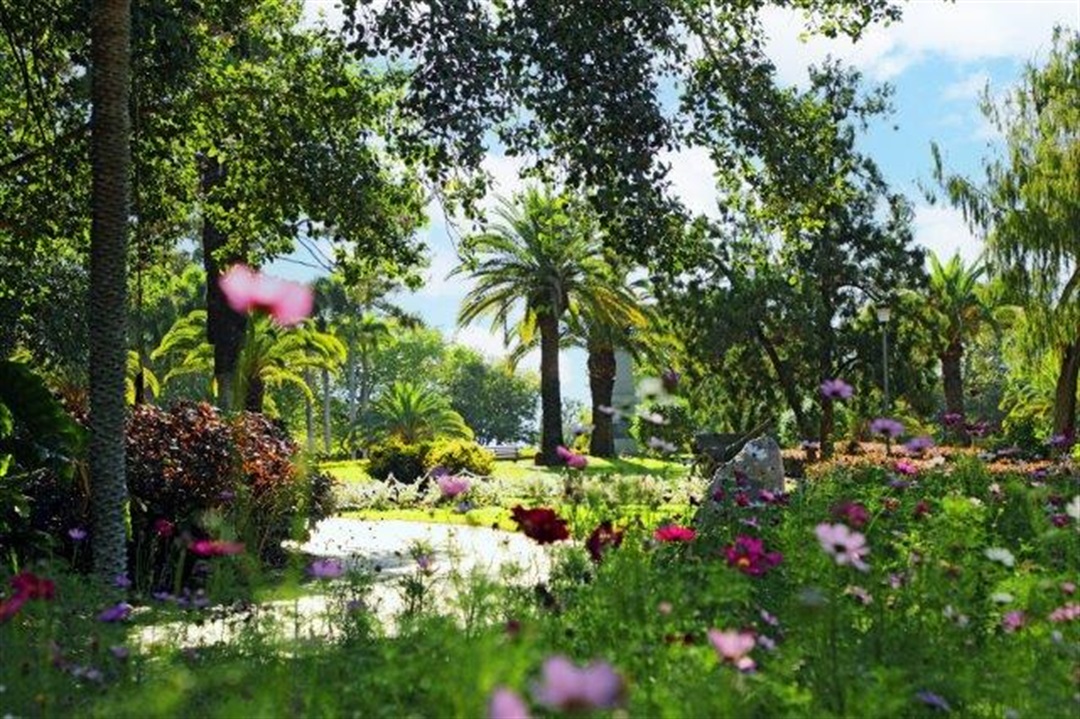 Park Botanical Gardens Australia Wittunga Botanic Garden | Book Direct