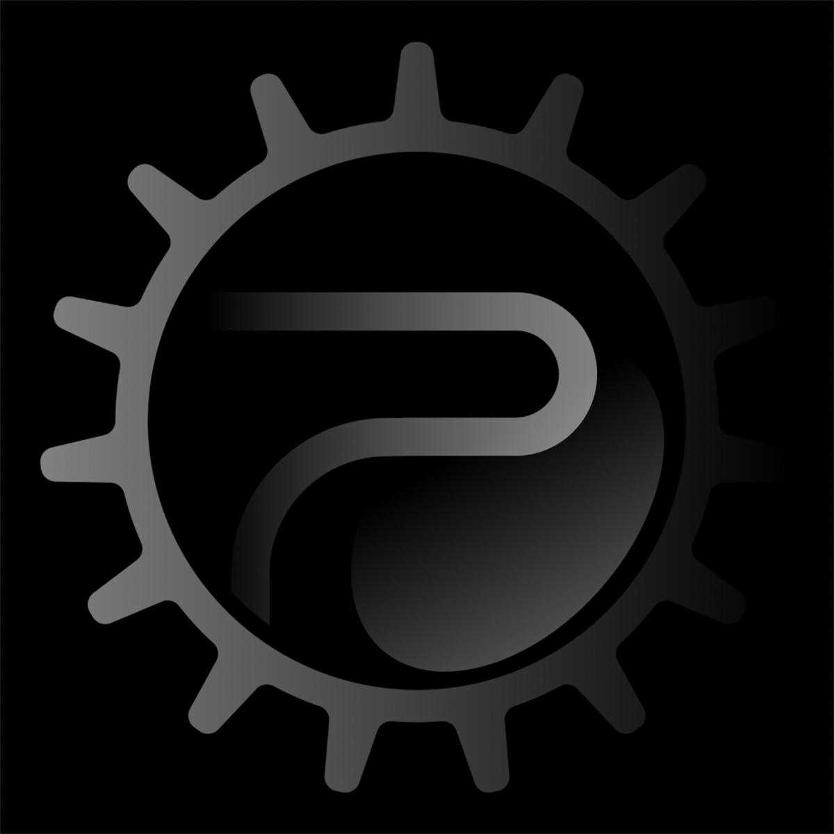 PRKN Watches Rockhampton Regional Council