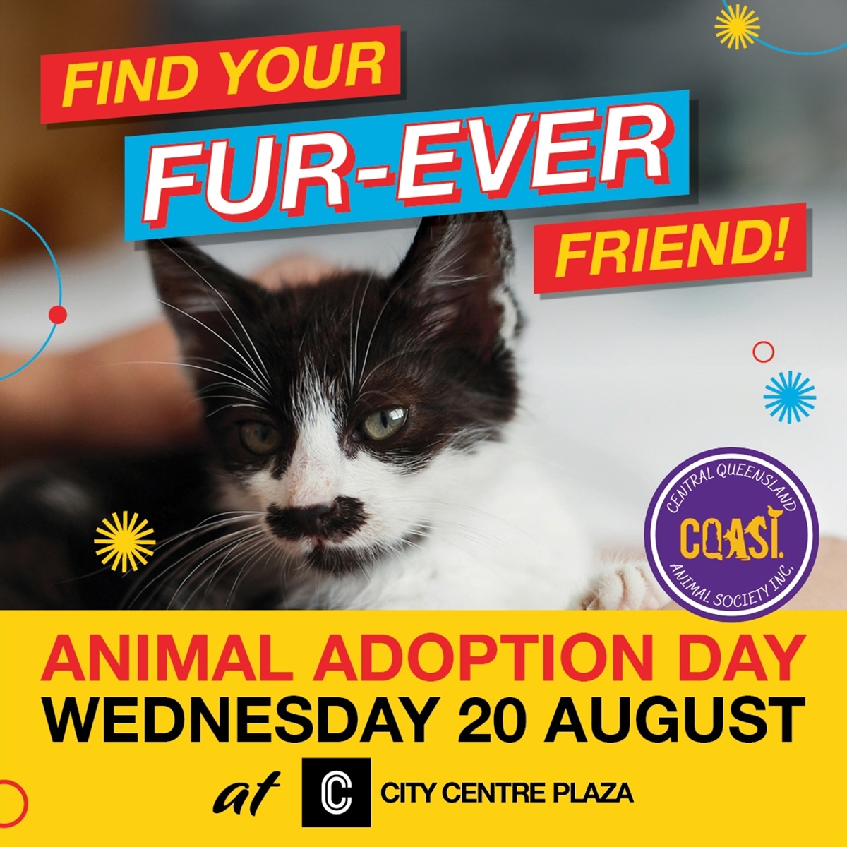 Animal Adoption Day at City Centre Plaza Rockhampton Regional Council